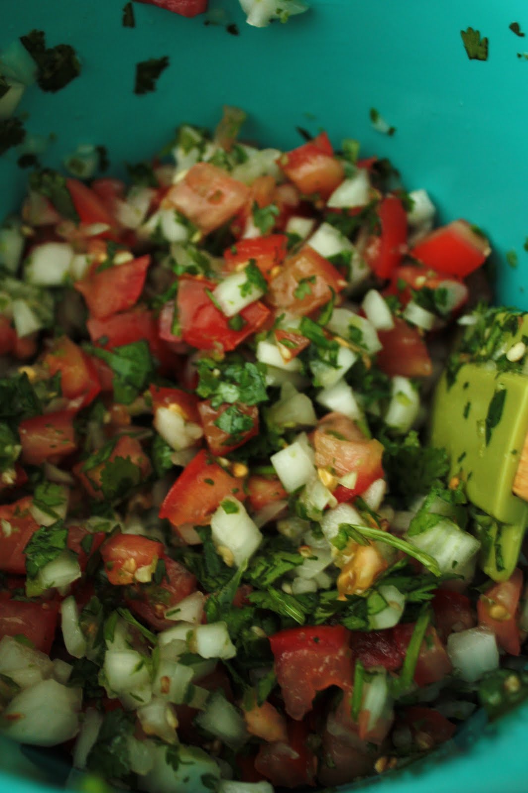 salt&pepper: dinner=salsa+cookies