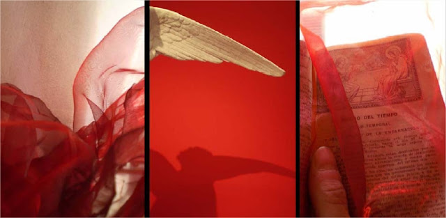 Artista Angela Viola fili intrecciati intervista...