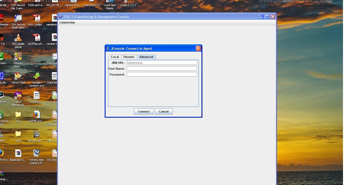How to use jconsole to monitor and manage WSO2 WSAS