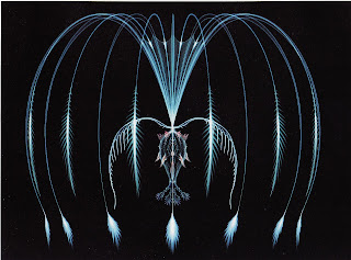 Omatikaya: Eywa & Sacred places