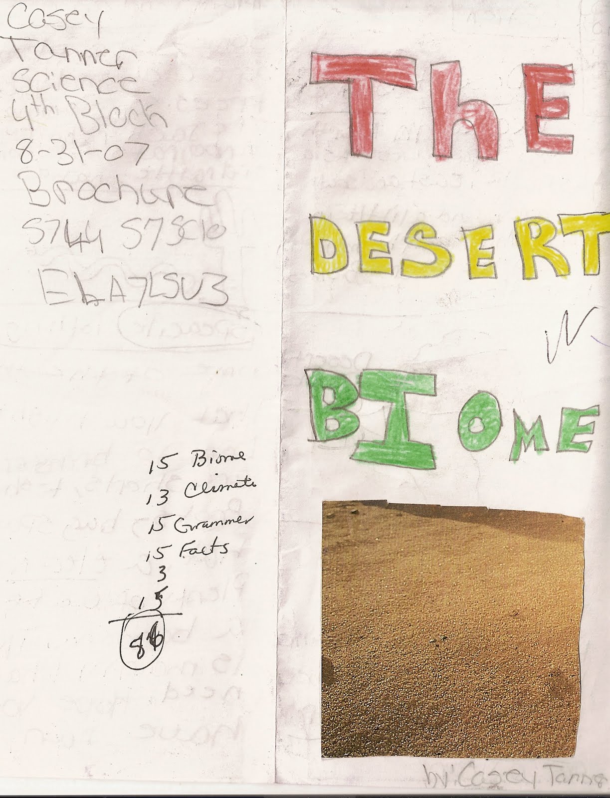 Donna's Science Education Blog: Biome Brochures or Stories