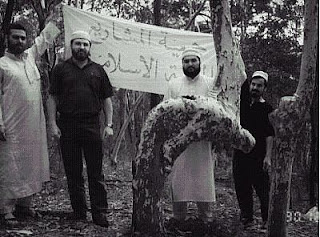 Fenomena Pohon Ruku - why