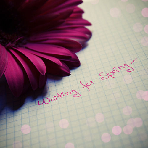 Bless Your Heart, Virginia: 6 Reasons Spring Should Hurry Up & Get Here