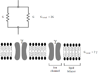 Acercando la biofísica: Definiciones importantes