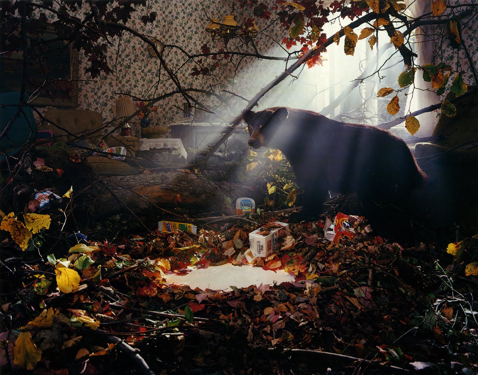 cityzenart: Gregory Crewdson