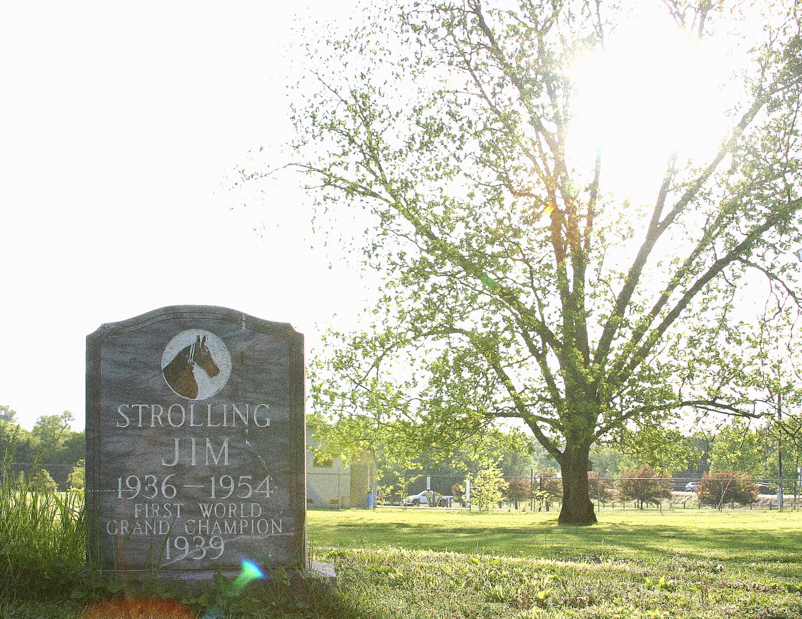 Race Report - 2010 Strolling Jim 40 Mile Run - Ultra Kraut Running