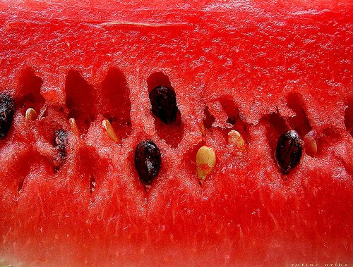Joy of Desserts: Raspberry watermelon slush recipe