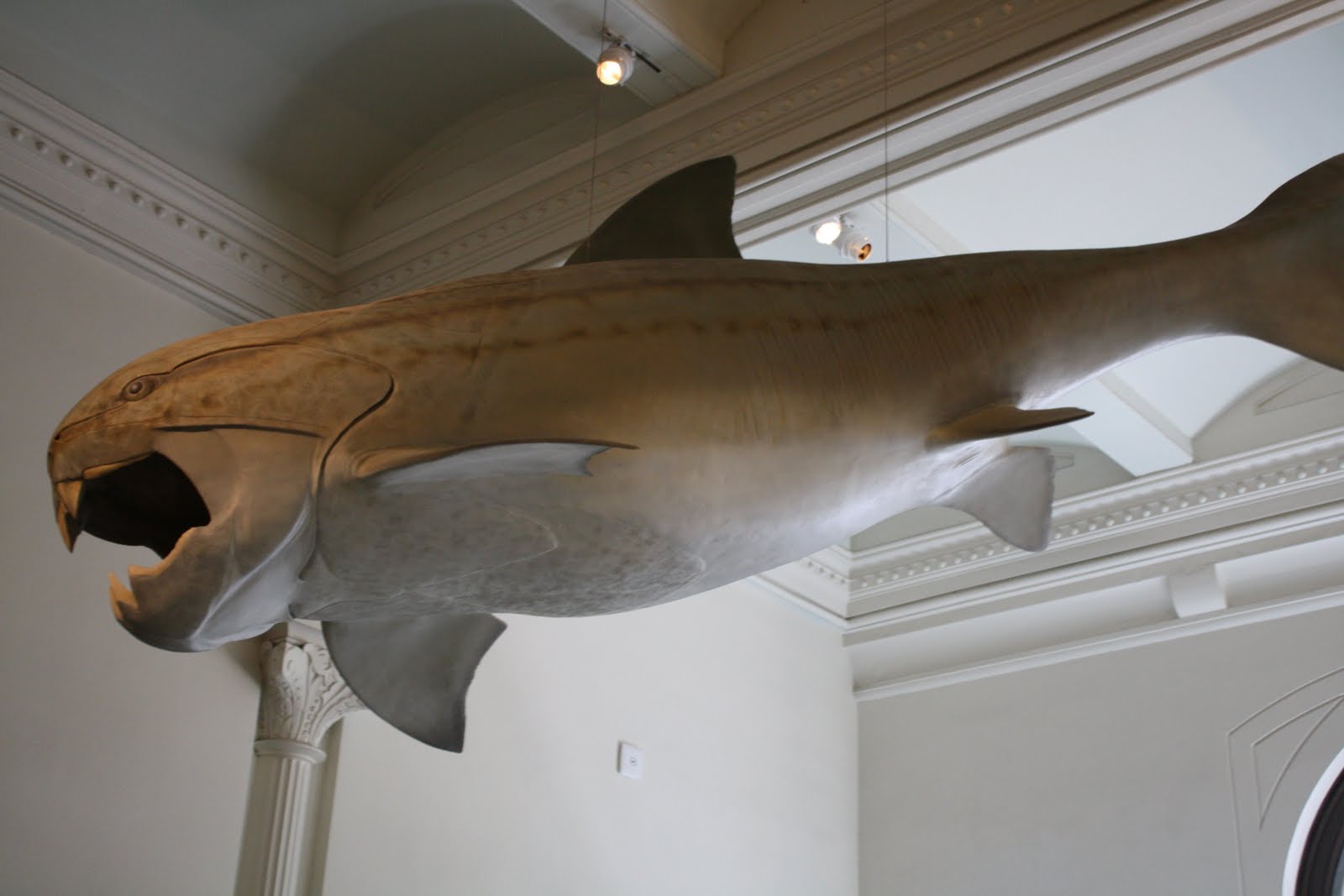 Cool Change: American Museum of Natural History