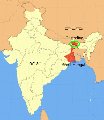 Chic Tea: Darjeeling, India 印度，大吉嶺