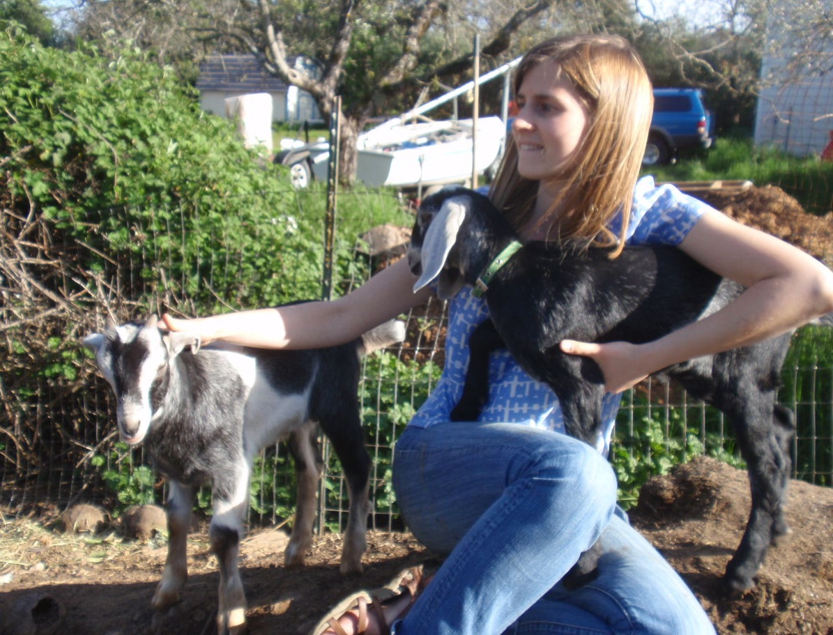 Solar Living: Urban Homesteading: How to Raise Backyard Goats