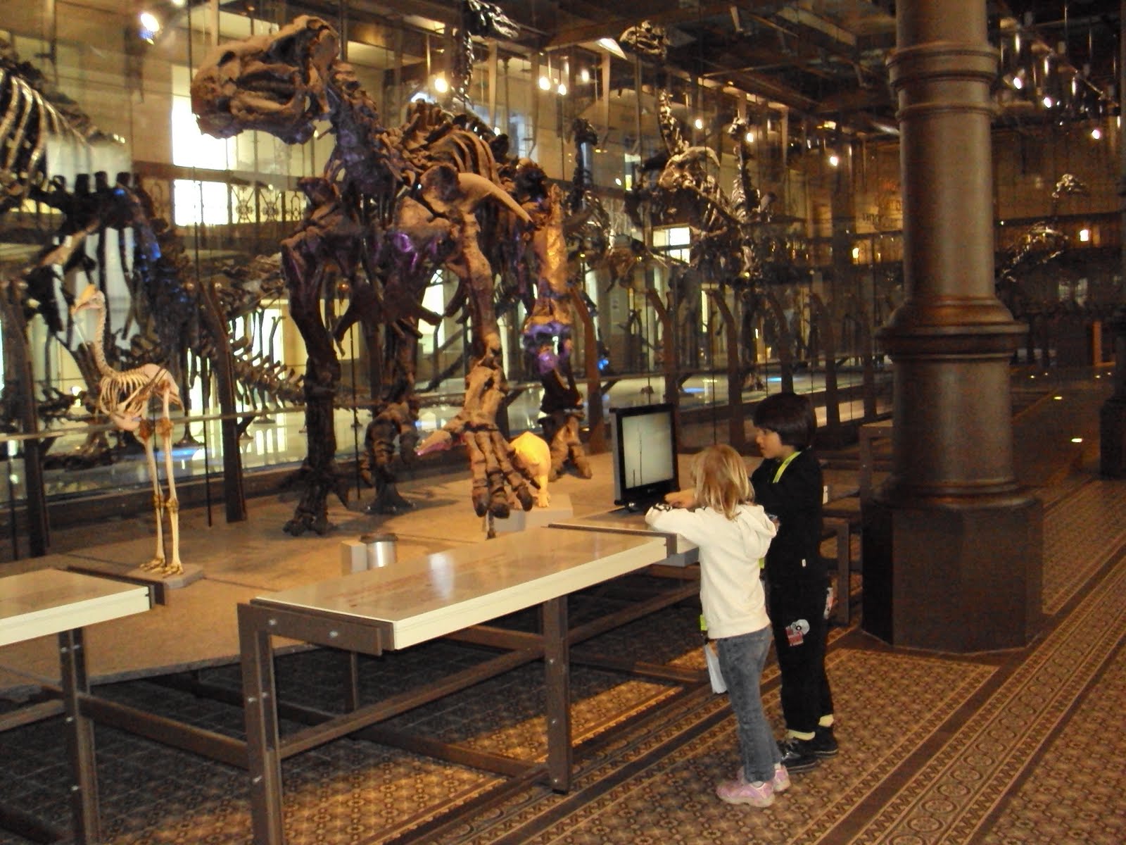 muizenklas: Dinomuseum