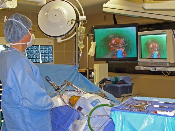 Healthy Life: Endoscopy