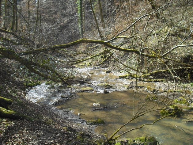 Die Schwäbische Alb und ihre Natur: Zillhauser Wasserfall bei Balingen ...