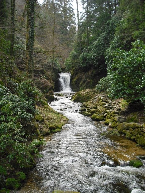 Der Schwarzwald und seine Natur: Geroldsauer Wasserfall bei Baden-Baden