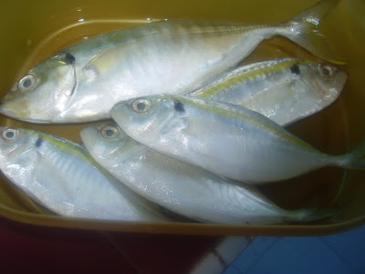 Bukan sekadar resipi: Antara Ikan pelata dan Ikan Selar