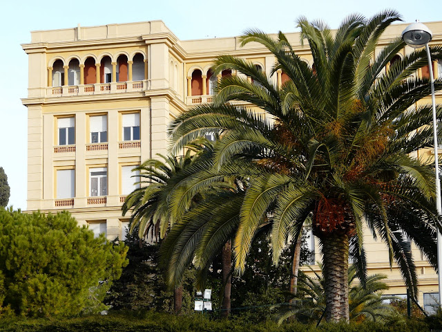 Nice Daily Photo: Parc Imperial