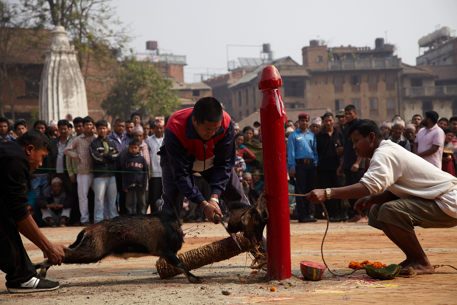 Nepal Travel And Photography Animal Sacrifice In Nepal Nepal Travel And Photography Animal Sacrifice In Nepal