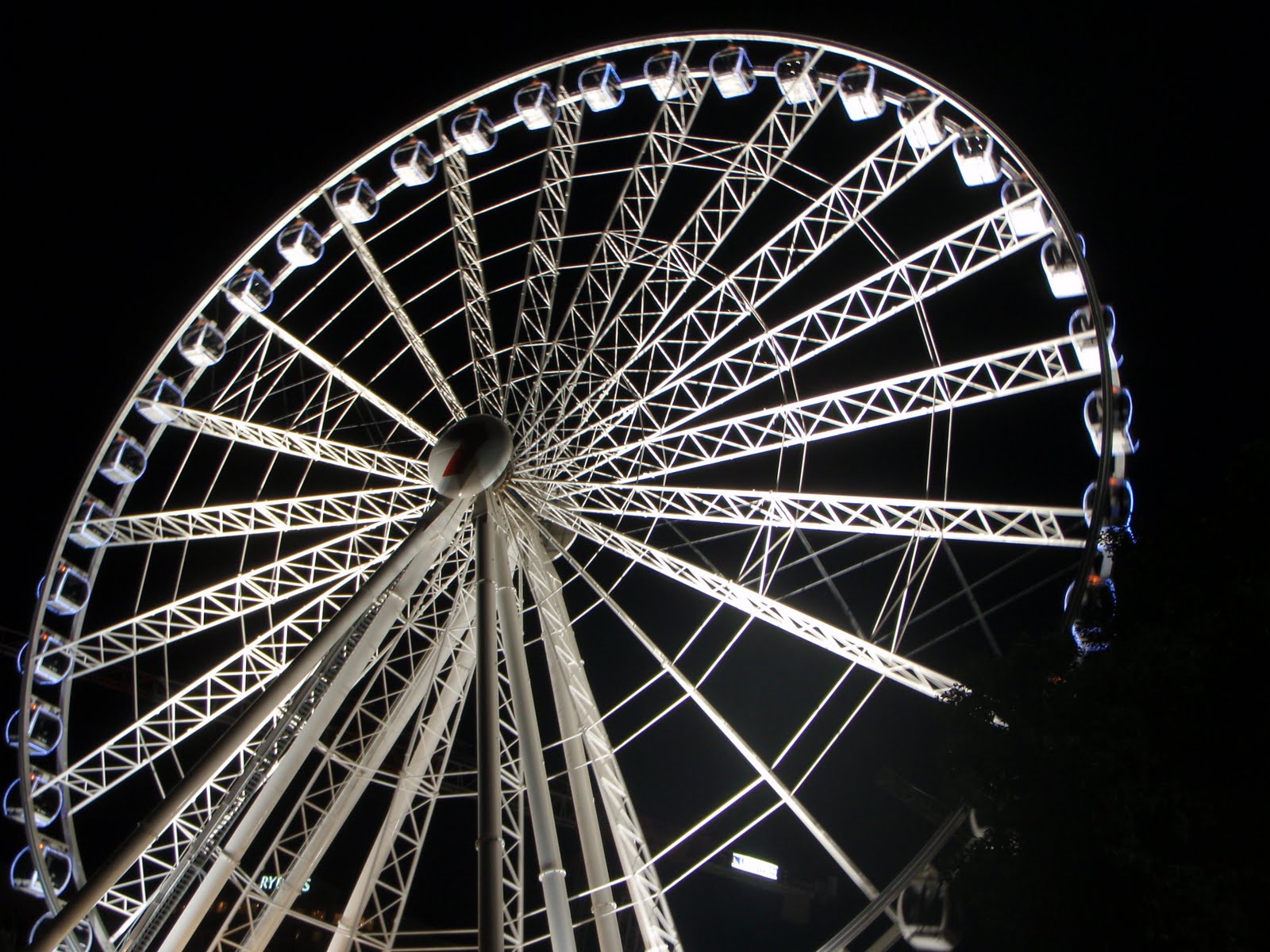 Uniquely Australian: Brisbane ("Brissy")