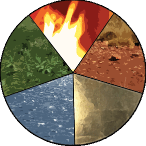 VAASTU WORLD: The 5 elements of vaastu