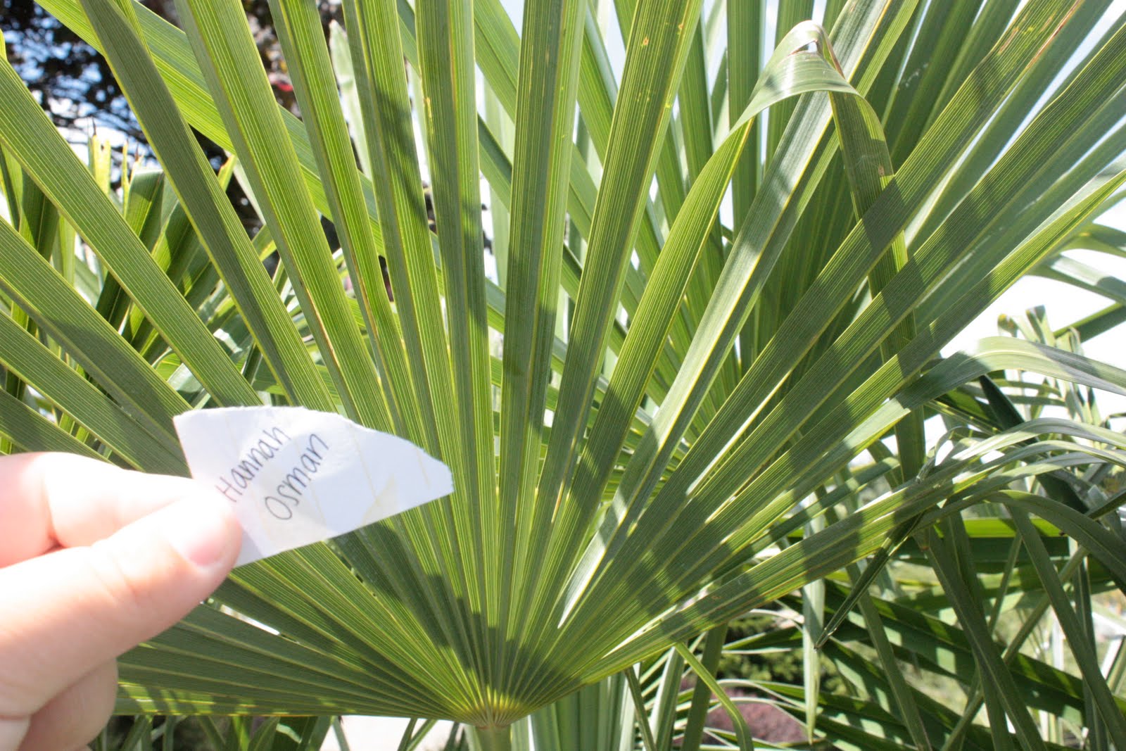 NBC AP Biology 10-11