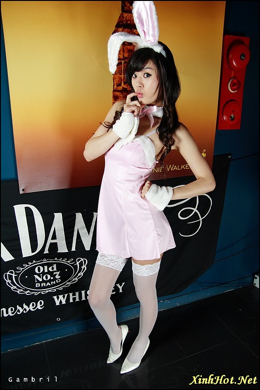 Hwang Mi Hee As A Bunny Girl Fashion And Models 2010 Hottest Fashion