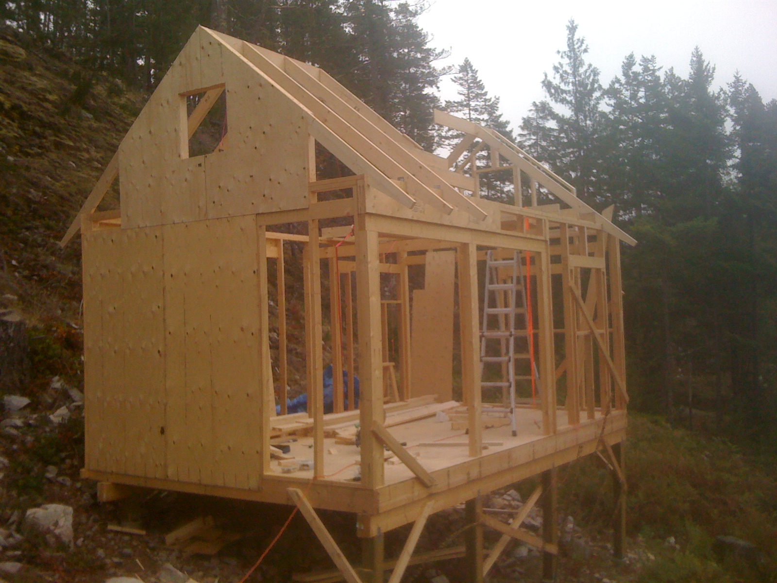Gambier Island Cabin: Week 4: Gable Walls and Roof Framing.