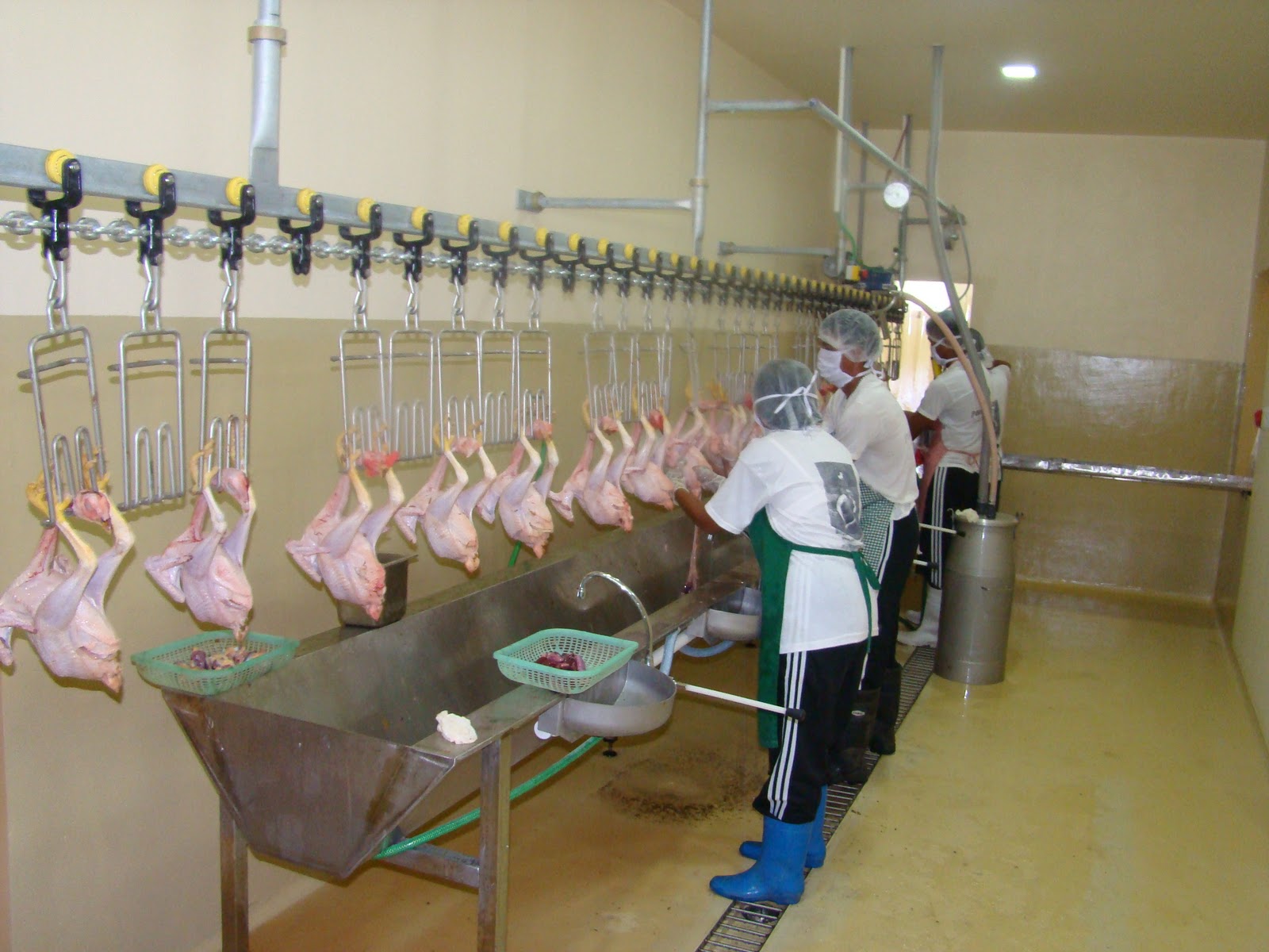 PAMORA FARM FREE-RANGE CHICKEN: IMPORTANCE OF QUALITY CONTROL ON MEAT ...