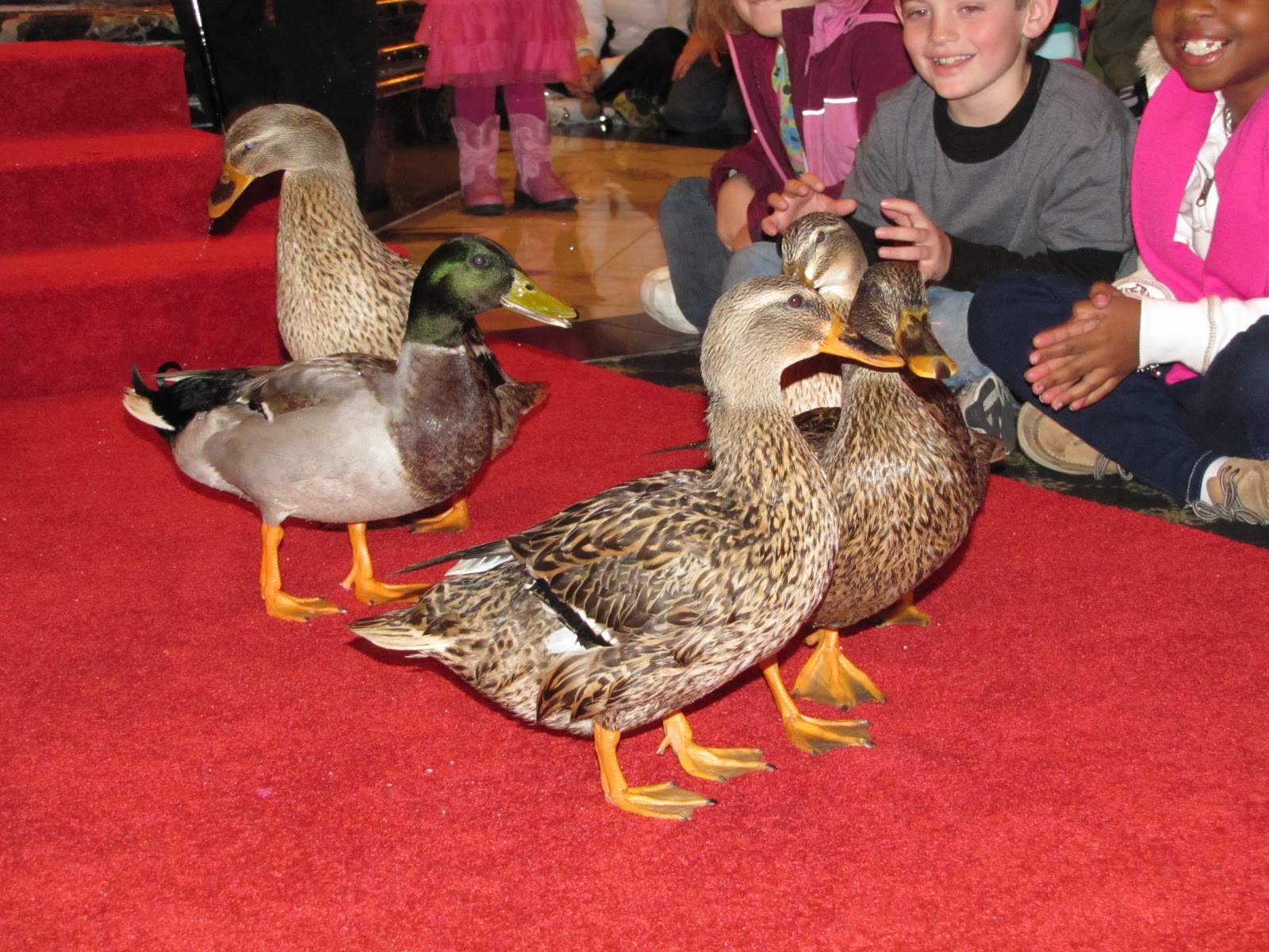 Leesa Turner: America Day 18 19 20 & 21 - Memphis and Dallas