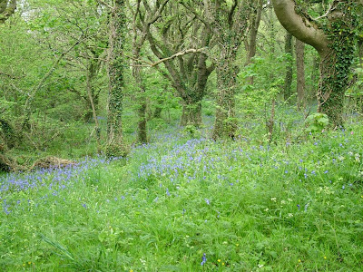The Glebe Blog: Monreith Walk