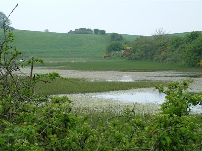 The Glebe Blog: Monreith Walk