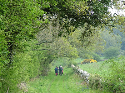The Glebe Blog: Monreith Walk