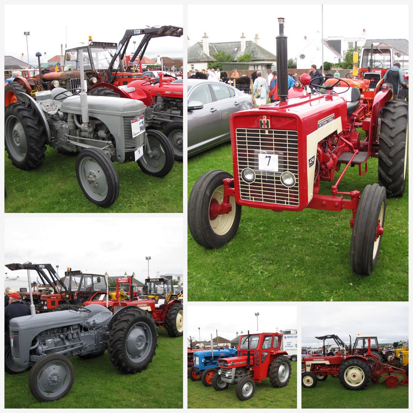 The Glebe Blog: Stranraer Show Pictures 2010
