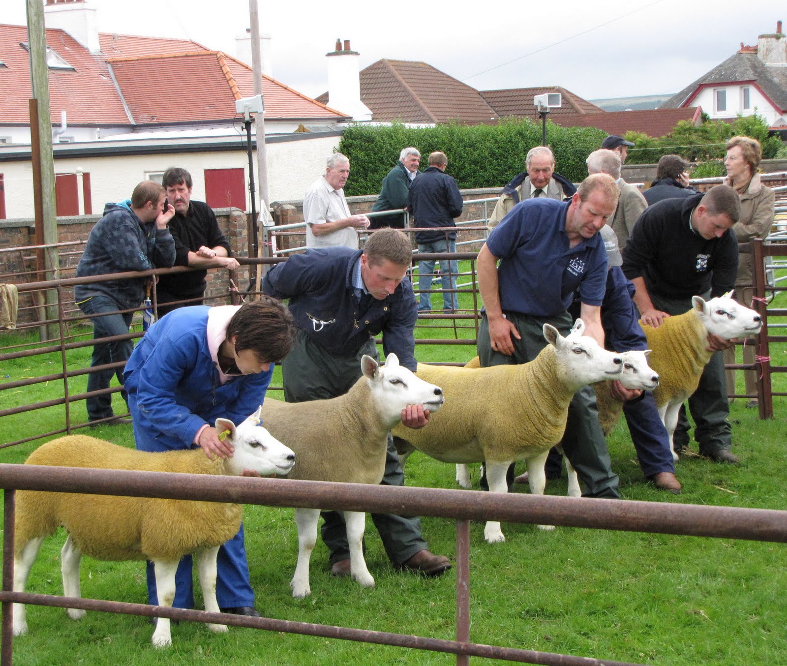 The Glebe Blog: Stranraer Show Pictures 2010