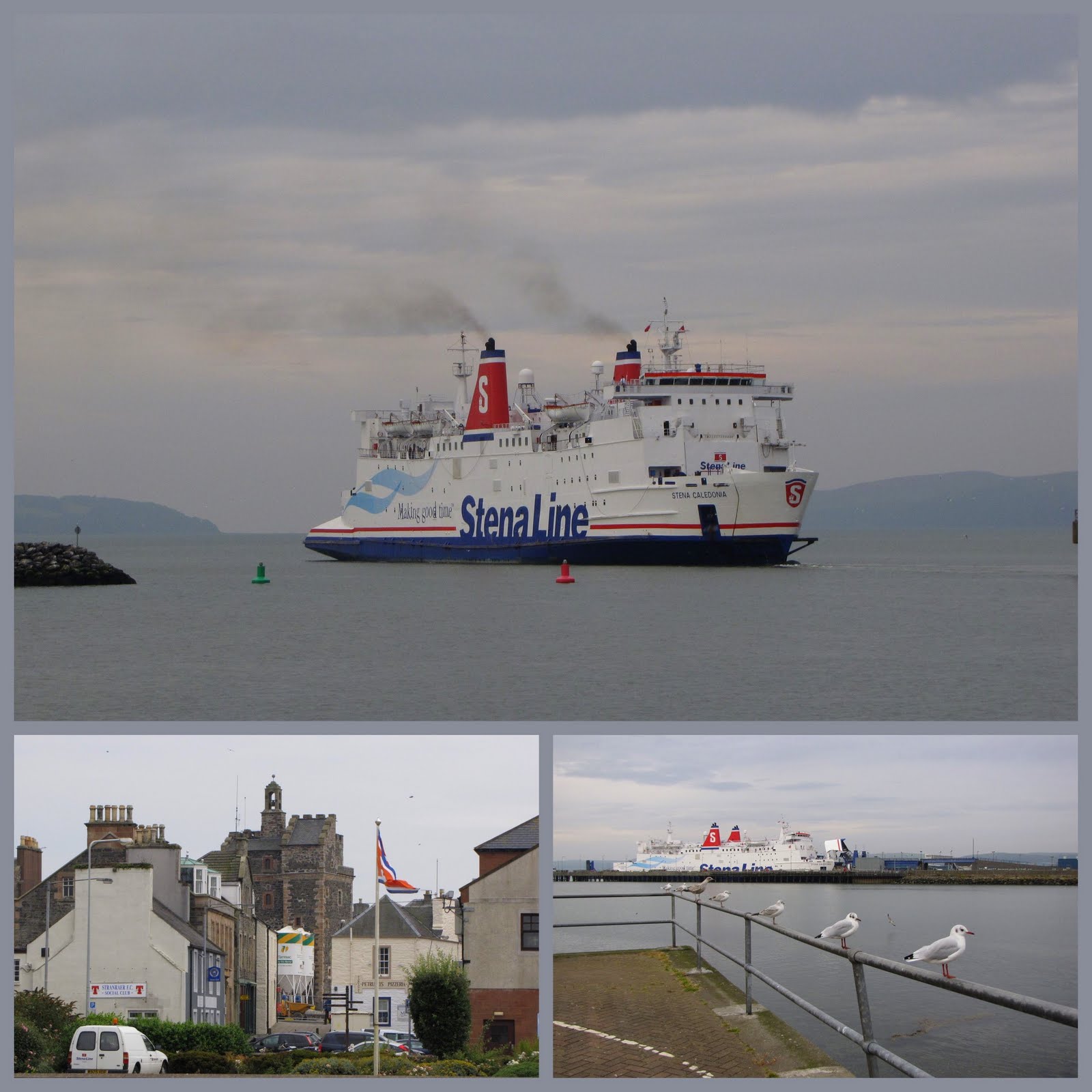 The Glebe Blog: Weekend Visitors