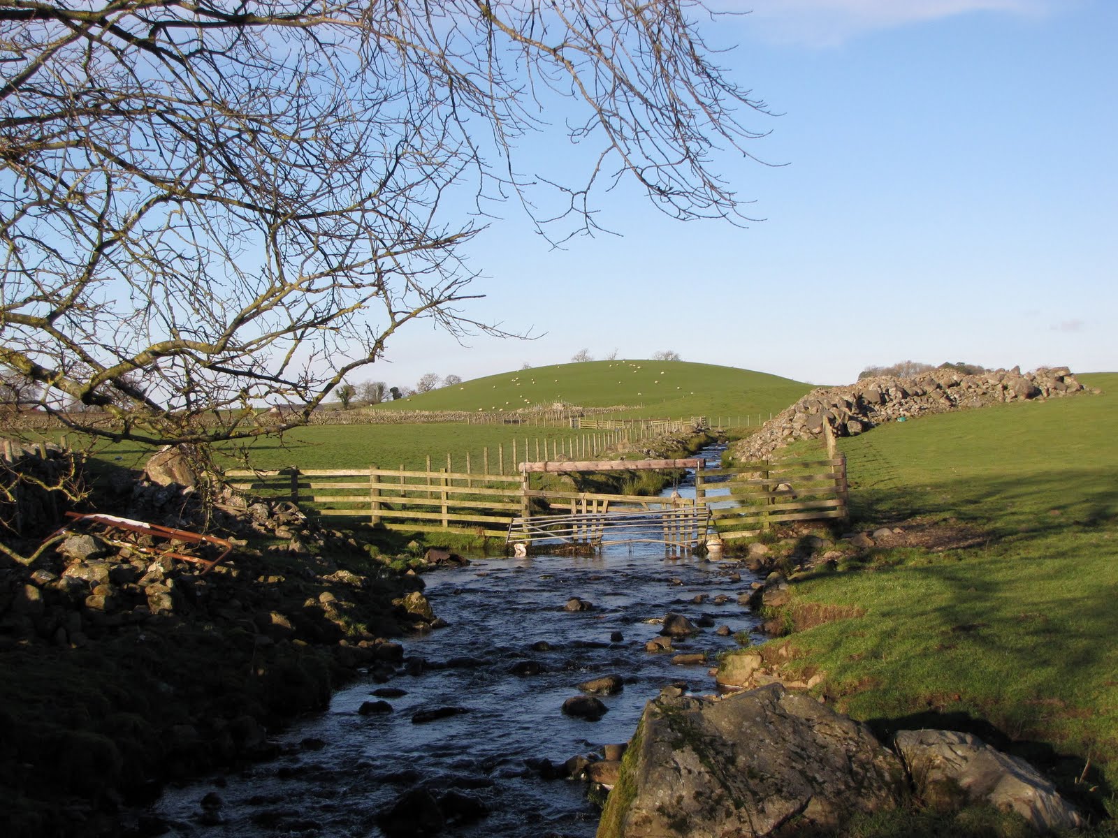 The Glebe Blog: Where's the snow