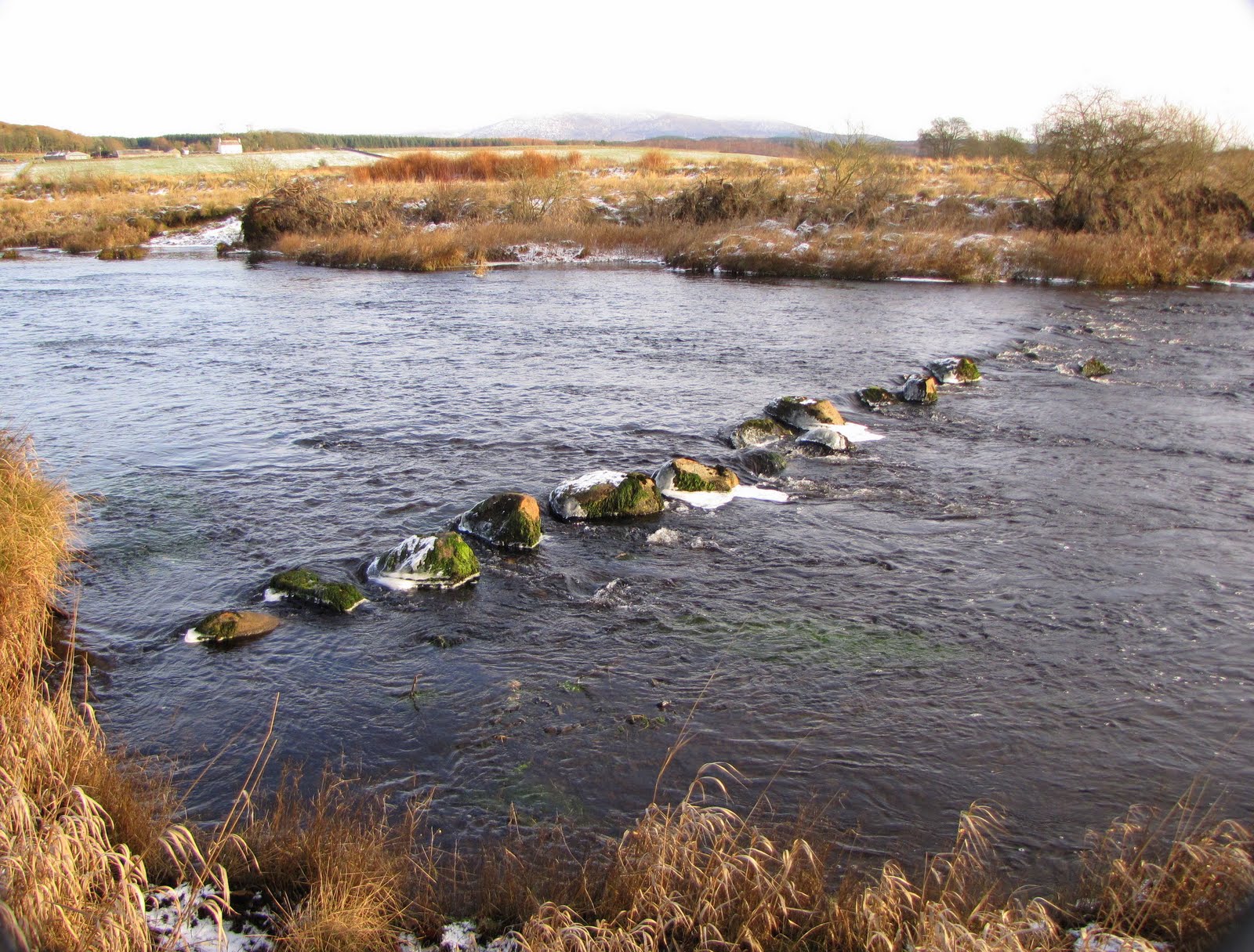 The Glebe Blog: A cold day on the River Cree at Challoch