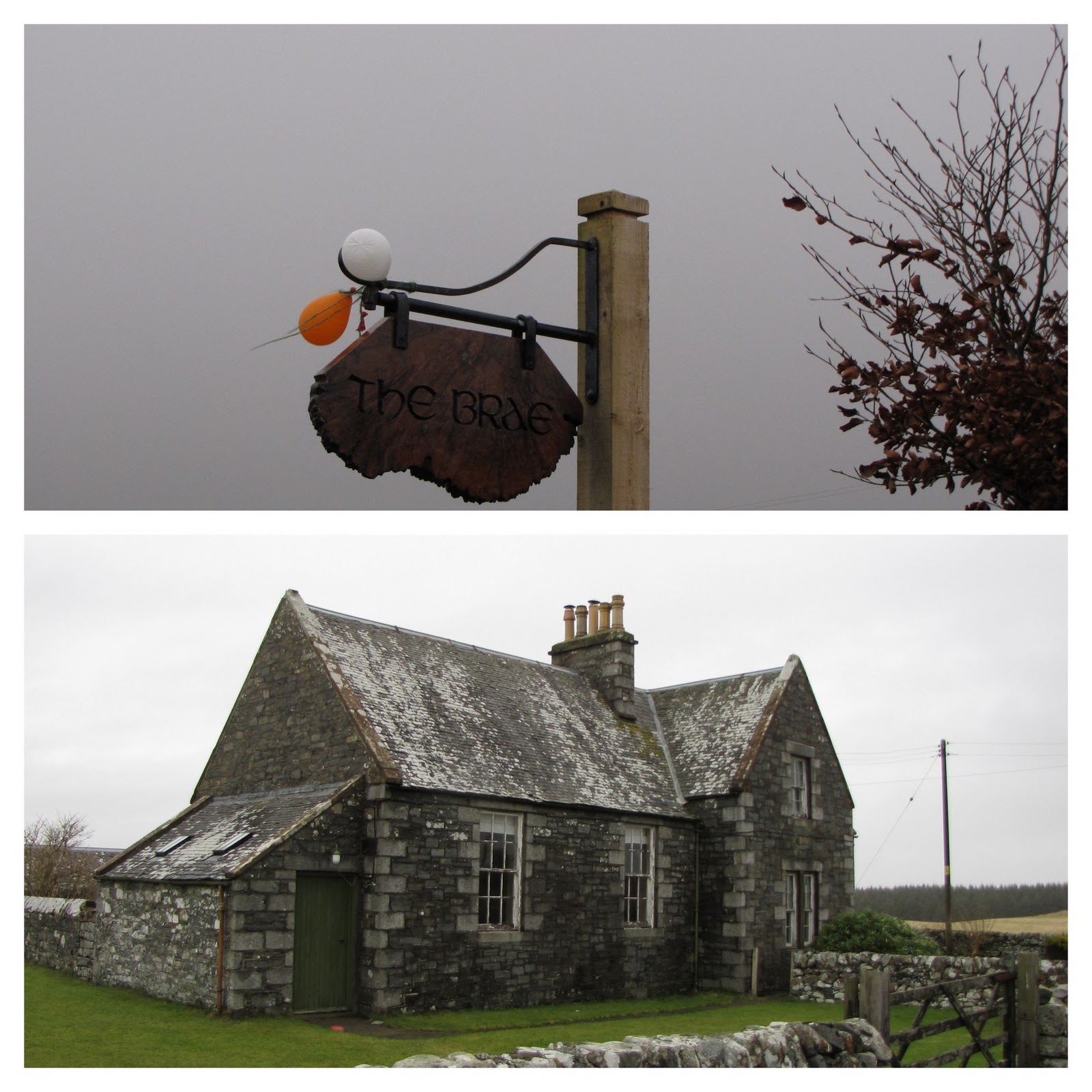 The Glebe Blog: Wigtownshire Ramblers-Chapel Finian Circular January 2011