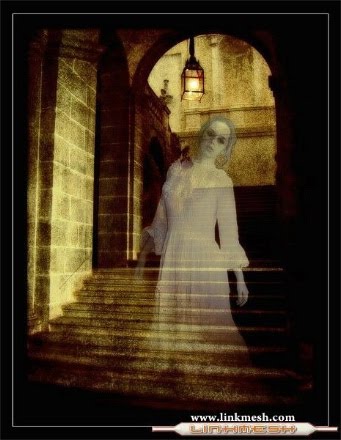 blog del terror: TIPOS DE FANTASMAS
