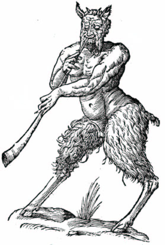DACTYLIOTHECA: DE PASTORES