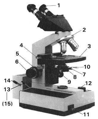 EU AMO BIOLOGIA: PARTES DO MICROSCÓPIO...