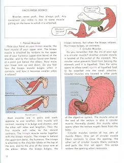 ACE Pace Samples: ACE Pace sample - Grade 7 Science
