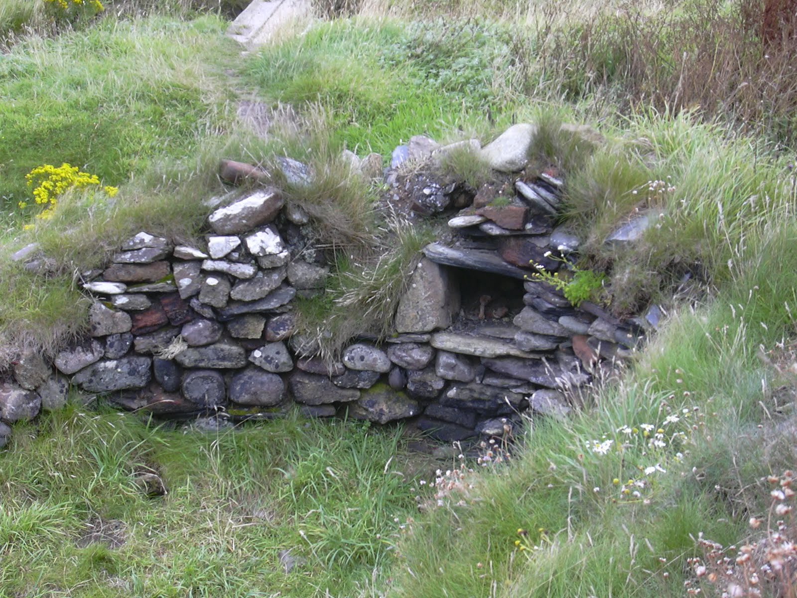 Pembrokeshire Coast Path: Penberi to Abercastle