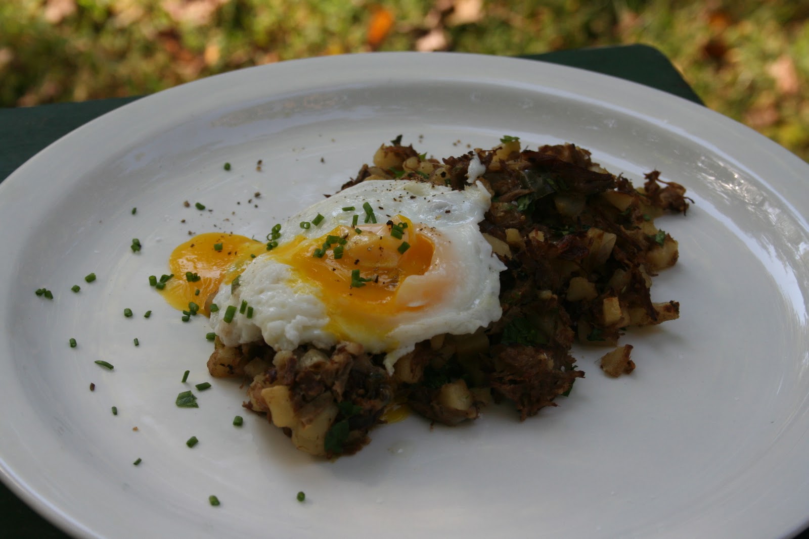 Country Tart Recipes: Venison Hash