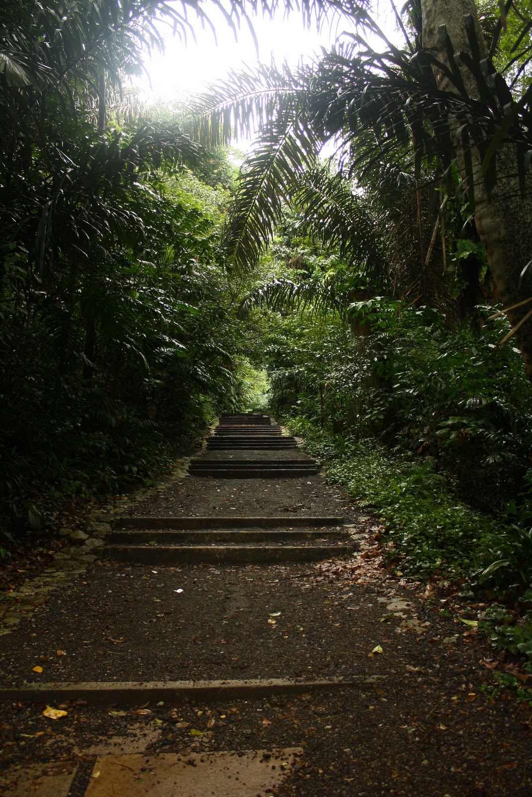 the nature trek - Style Frontier