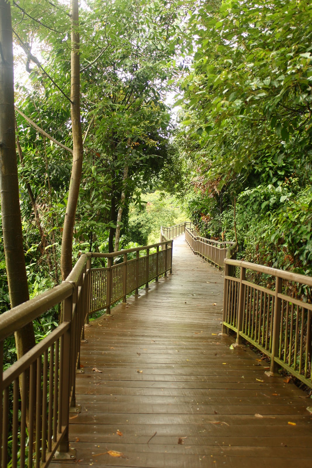 the nature trek - Style Frontier