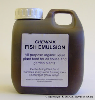From a Worcester Allotment: Fish Emulsion fertilizer