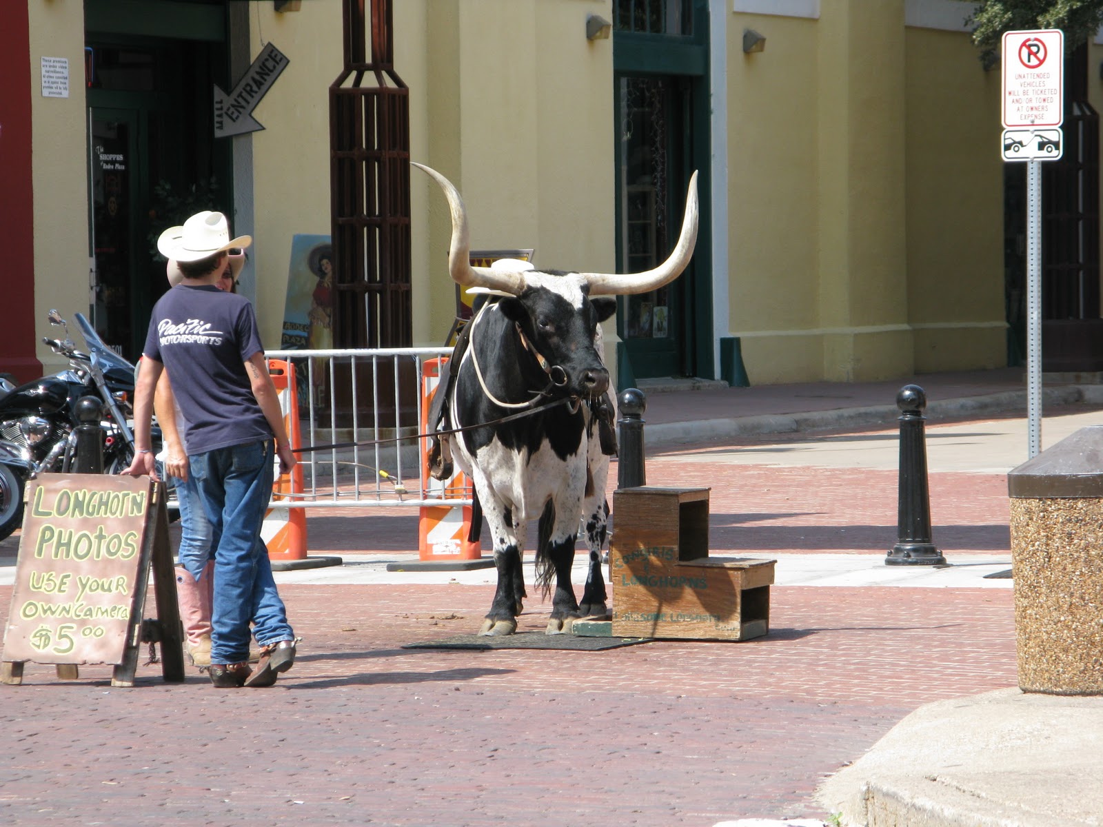 "Miracle In The Making": Grapevine Train ride and Ft. Worth Stockyards