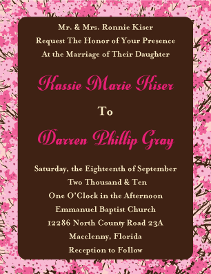 Spiffalicious: a design love affair...: My brothers wedding invitation