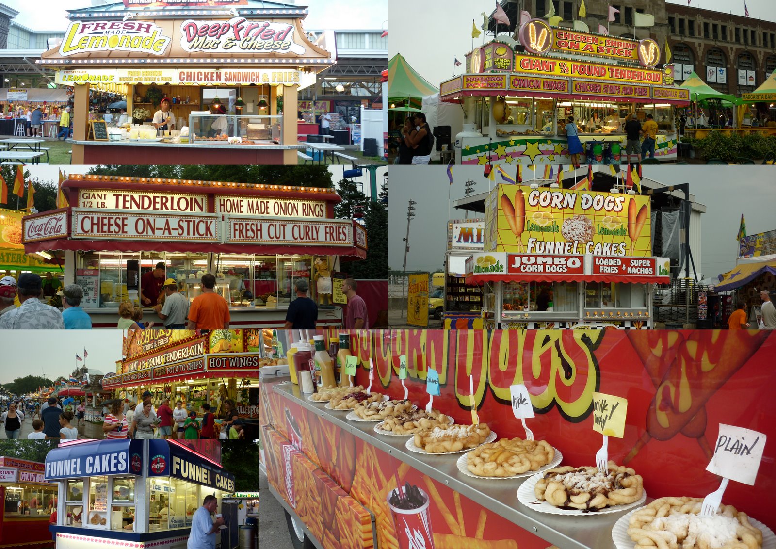 Everlasting Farm: Iowa State Fair