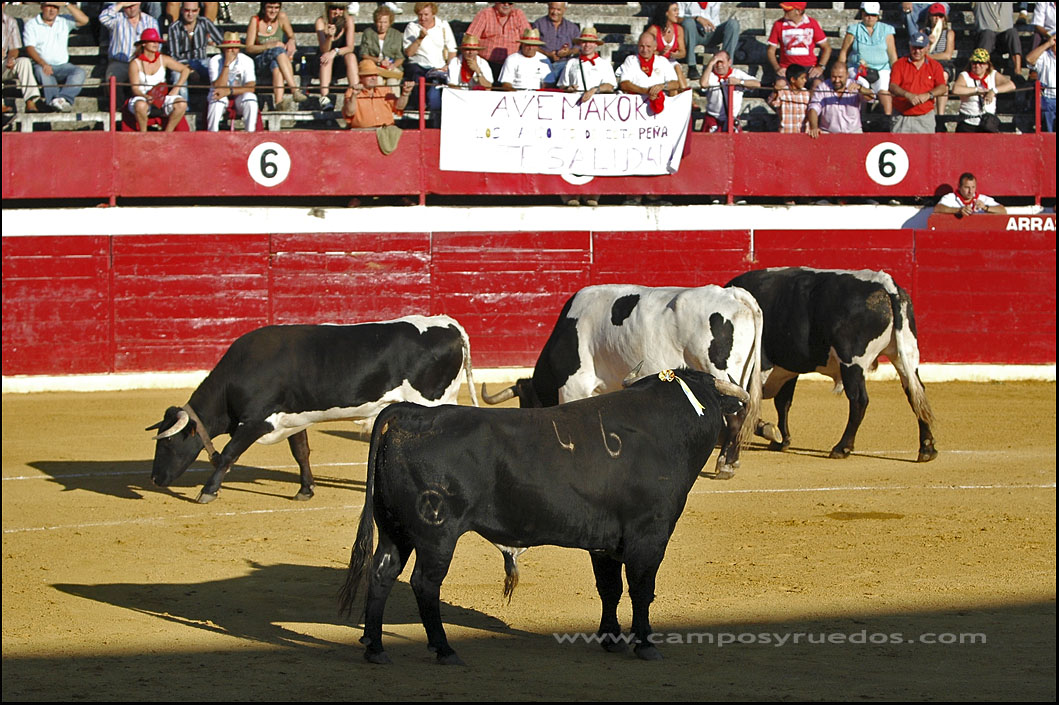 Campos y Ruedos: Cabestro